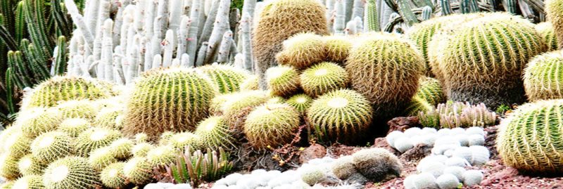 Cadereyta de Montes – Aqui Queretaro